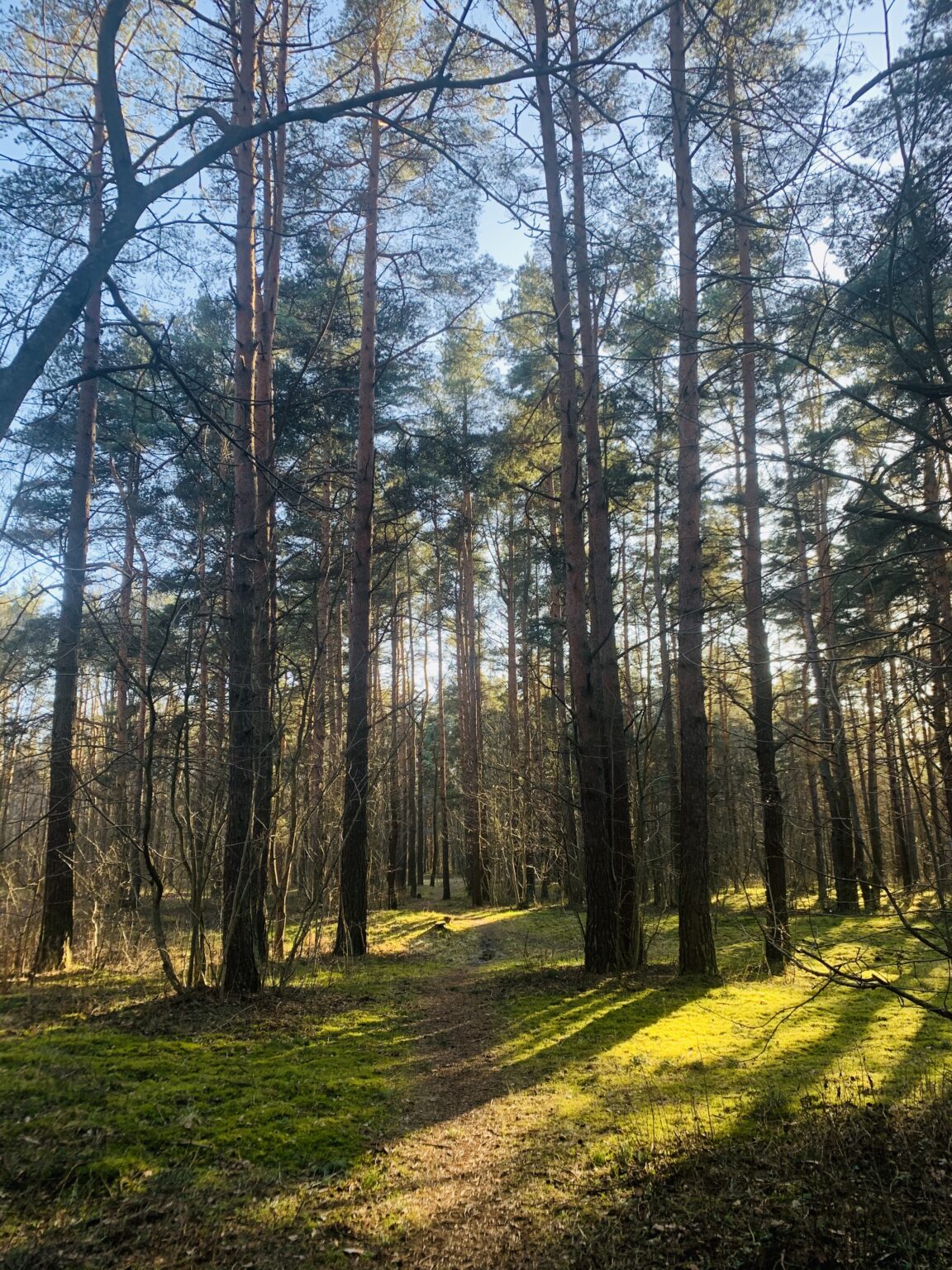 Tallinnan puistot ja ulkoilualueet: Merimetsa - Parasta Tallinnassa
