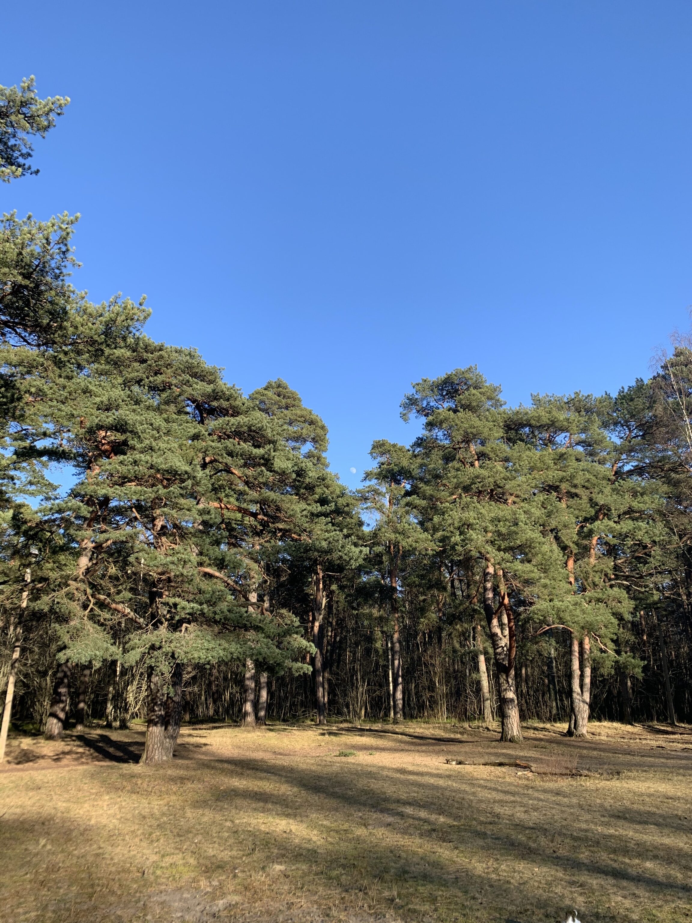 Tallinnan puistot ja ulkoilualueet: Merimetsa - Parasta Tallinnassa